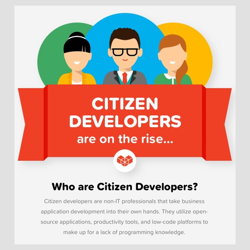 Citizen Developers in the Digital Transformation Age: IT without IT?